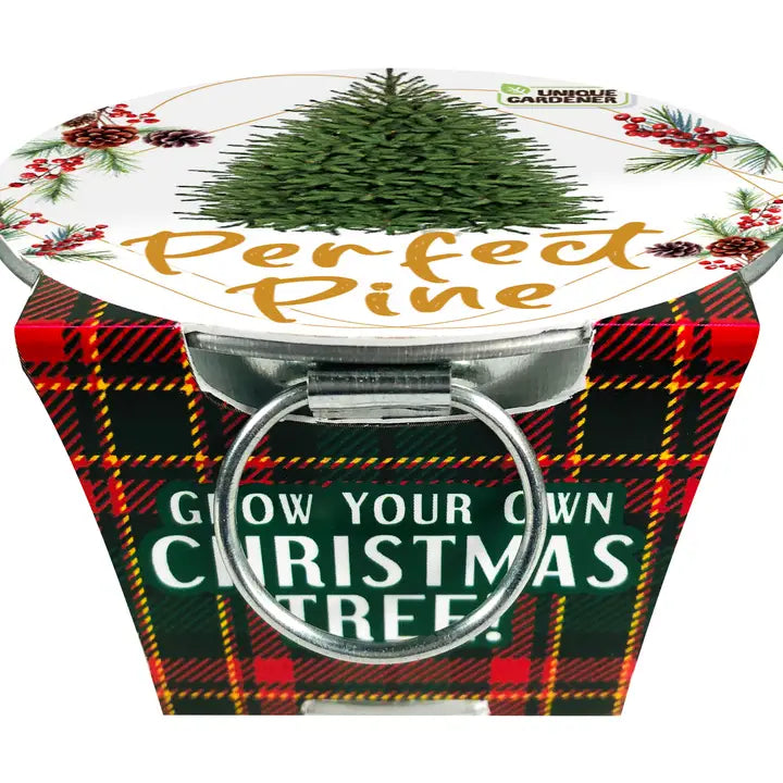 Grow your own christmas tree store